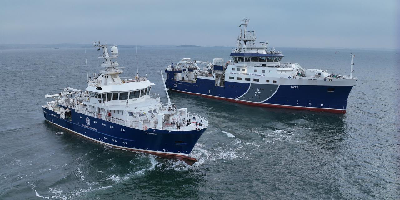Ship Time | My new site